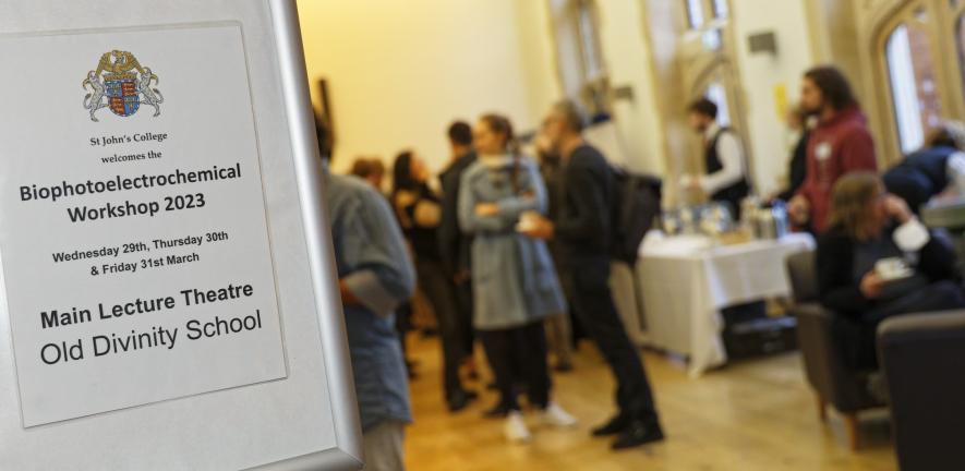 Home | The Zhang Group